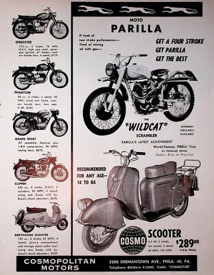 1958 Parilla Wildcat Scrambler - Vintage Motorcycle Ad | eBay
