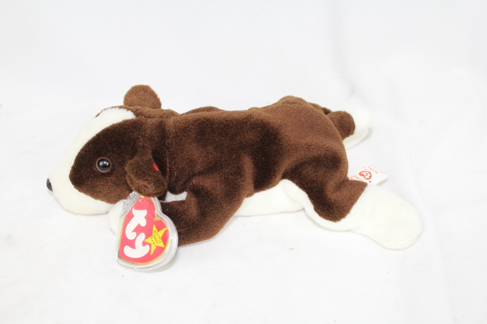 TY Beanie Baby - BRUNO the Bull Terrier Dog with tags | eBay