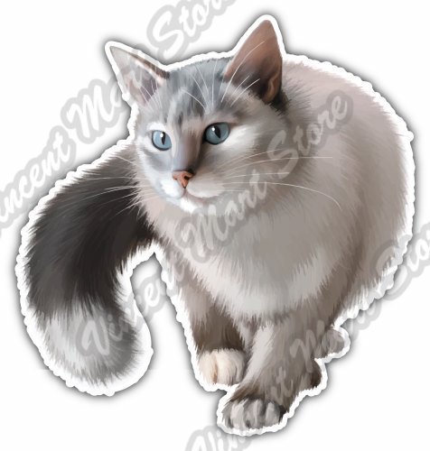Cute Kitten Cat Pussycat Pet Adopt Animal Car Bumper Vinyl Sticker ...