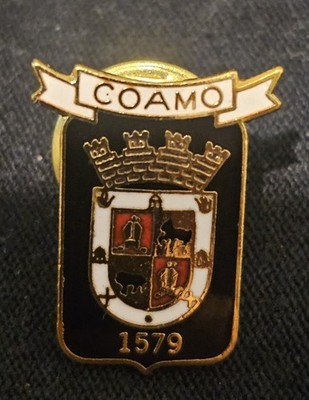 Pin ,Escudo Pueblo De Coamo Puerto Rico . Nuevo. | eBay