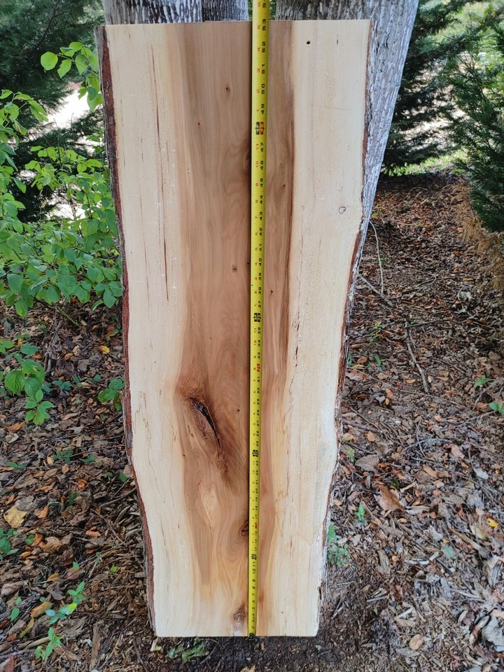 Red Gum slab (thick slab) (Live Edge) | eBay