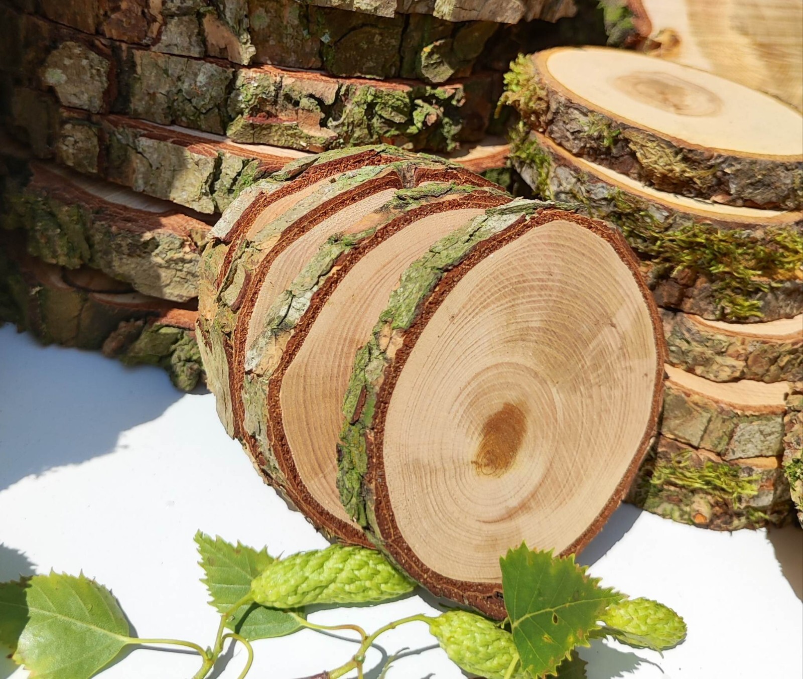 Log Wooden Slices LOCAL CRAFTS 2-18CM Wood Discs Round Wedding Cedar ...