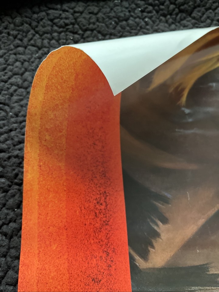 Harry Potter Borders Poster 2007 22"x36" Deathly Hallows book release ...