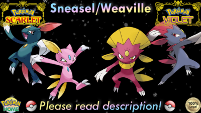 🍊Shiny/Non-shiny Sneasel/Weavile 6IV🍇Pokémon Scarlet/Violet (💯Legal) | eBay