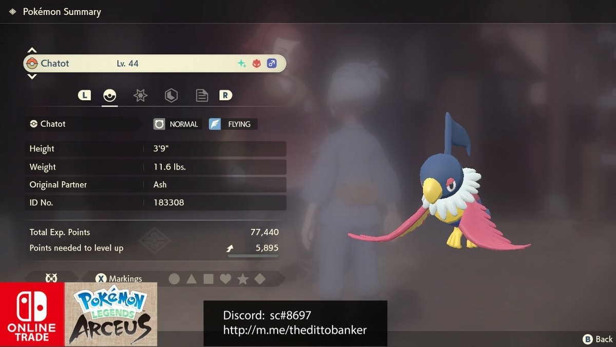 Shiny Chatot Pokemon