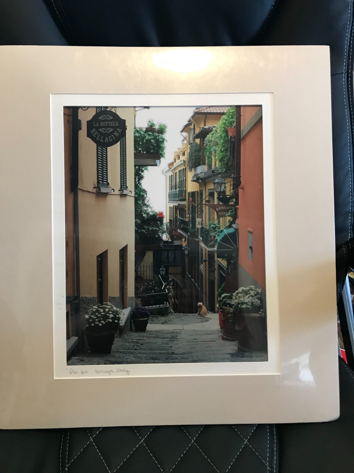 Poo Pah Bellagio Italy John Scanlan Limited Edition Print COA | eBay