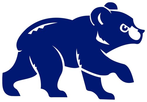 Chicago Cubs Cub Logo Sticker | Vinyl Decal | eBay