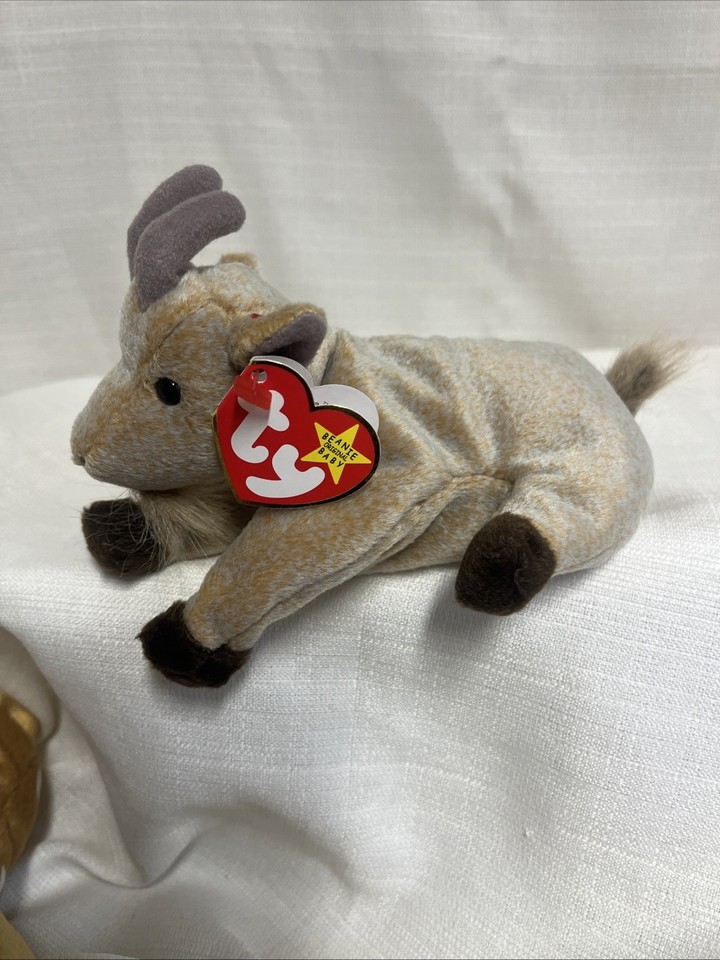 Ty Beanie Baby Goatee the Goat DOB November 4, 1998 MWMT | eBay