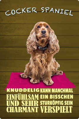 Ontrada Blechschild 20x30cm gewölbt Cocker Spaniel Hund knuddelig ...