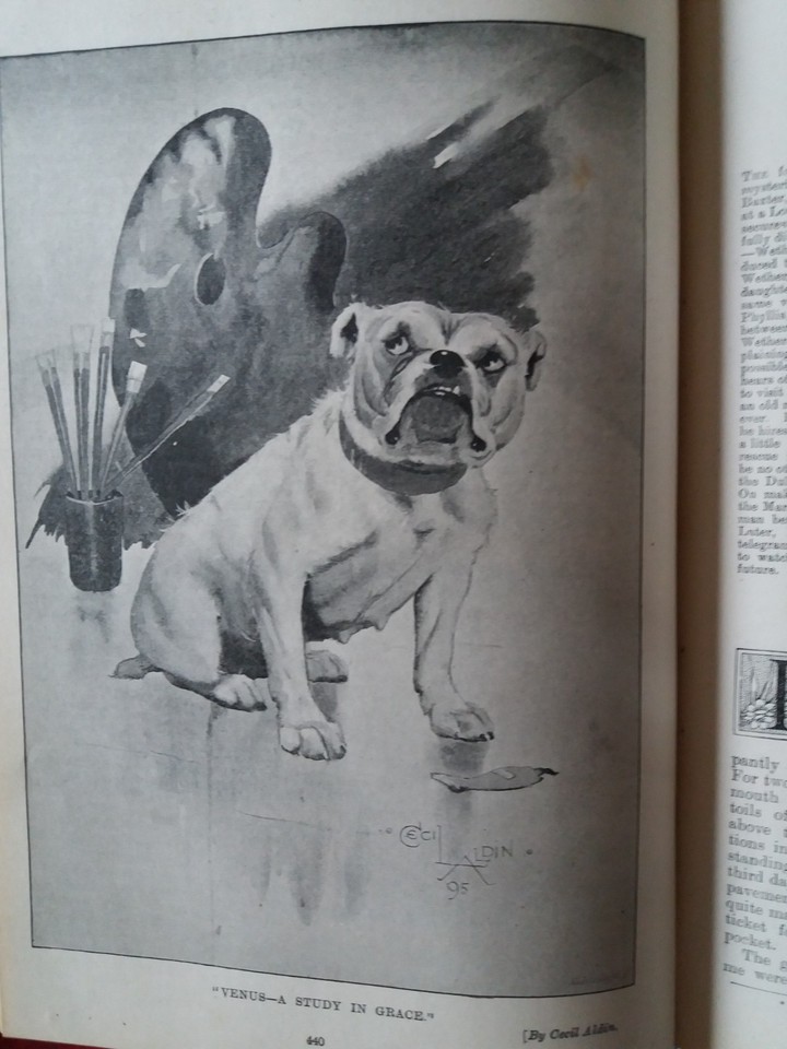 Detective Bloodhounds Man Tracker Dog Mr Brough Rare Old Victorian 1898 ...