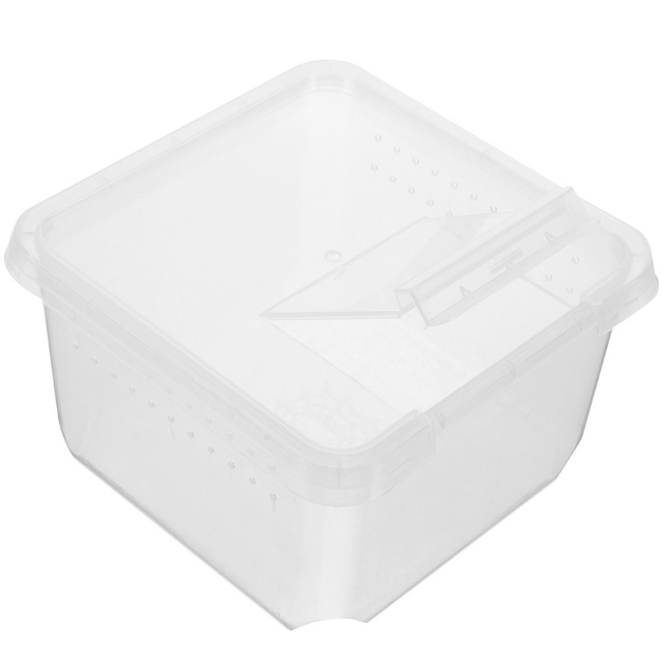 Habitat Box Practical Feeding Clear Bin Spider Box for Small Reptiles ...
