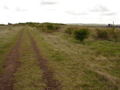 Photo 6x4 Track alongside Risby Warren High Risby Probably the only ...