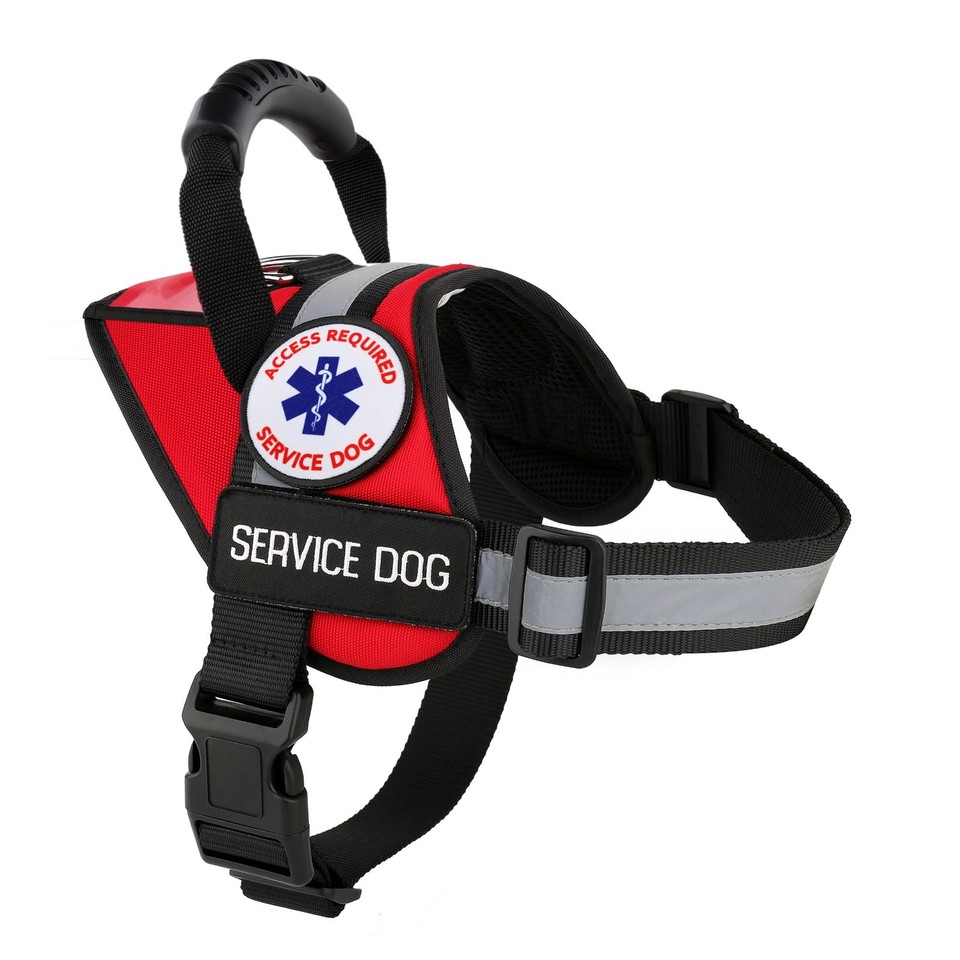 Service Dog - ESA Dog - Therapy Dog - Harness Vest Waterproof ALL ...