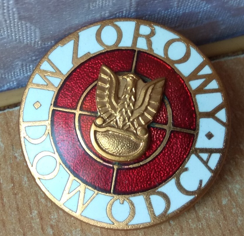 RARE Vintage POLAND Badge Military Medal Polish wzorowy dowodca pin ...
