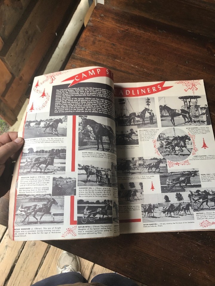 Rare Vtg 1955 Wolverine Raceway Book Brochure Ads Horse Harness Racing ...