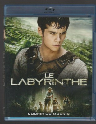 BLU-RAY Le LABYRINTHE | eBay