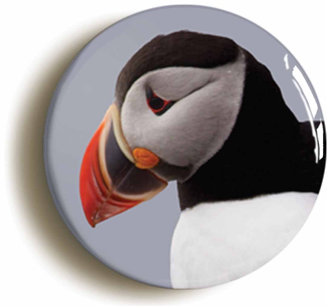 PUFFIN BIRD WATCHING BADGE BUTTON PIN (Size is 1inch/25mm diameter ...