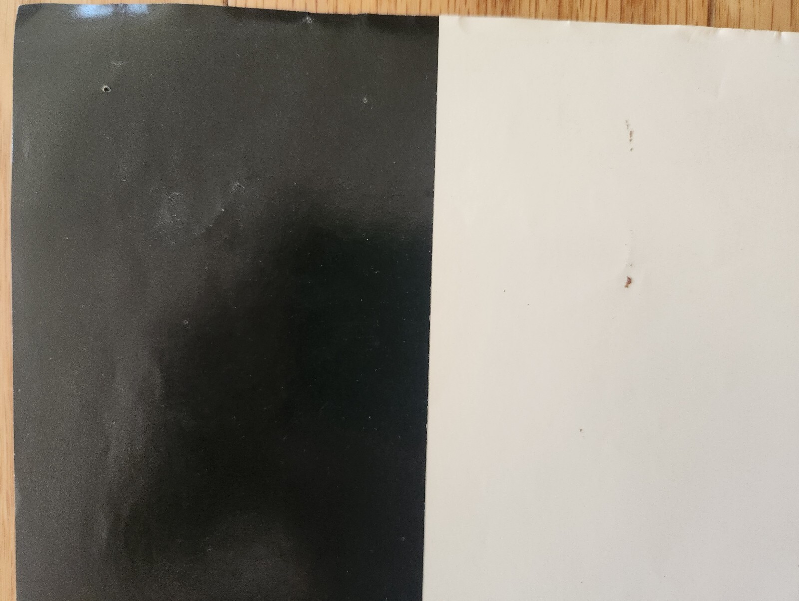 Blondie Parallel Lines Original 1978 Chrysalis Record Store Promo ...