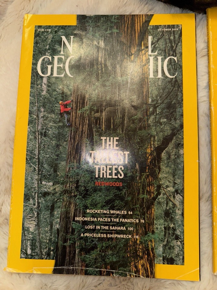 Set Of 3 National Geographic Magazines - Tallest Trees Egyptian Mummies ...