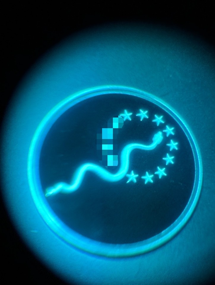 RARE Central Intelligence Agency CIA SAC medallion JSOC CAG DEVGRU | eBay