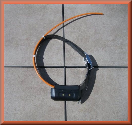 Garmin Astro 220 / 320 Flexible 16" Antenna & DC 40 Tuff Skin Antenna ...