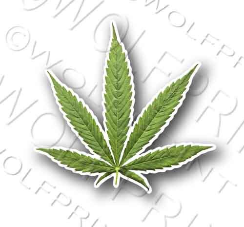 Marijuana Leaf Sticker 4" Tall Pot Weed Cannabis Smoke Vinyl Decal | eBay