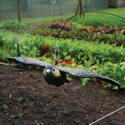 Bird Scarer Flying Falcon Fake Bird of Prey Pest Control 21" | eBay UK