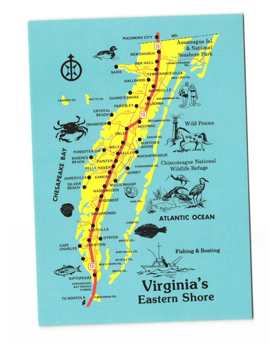 Greetings from Virginia's Famous Eastern Shore Postcard Unposted 4x6 | eBay