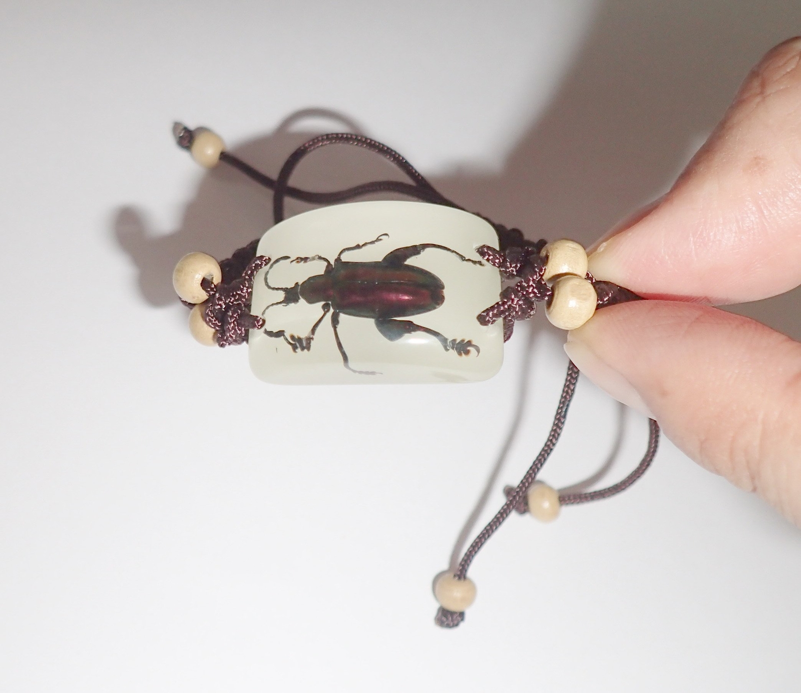 Insect Bracelet Frog-legged Jewel Beetle Sagra femorata Specimen Glow ...