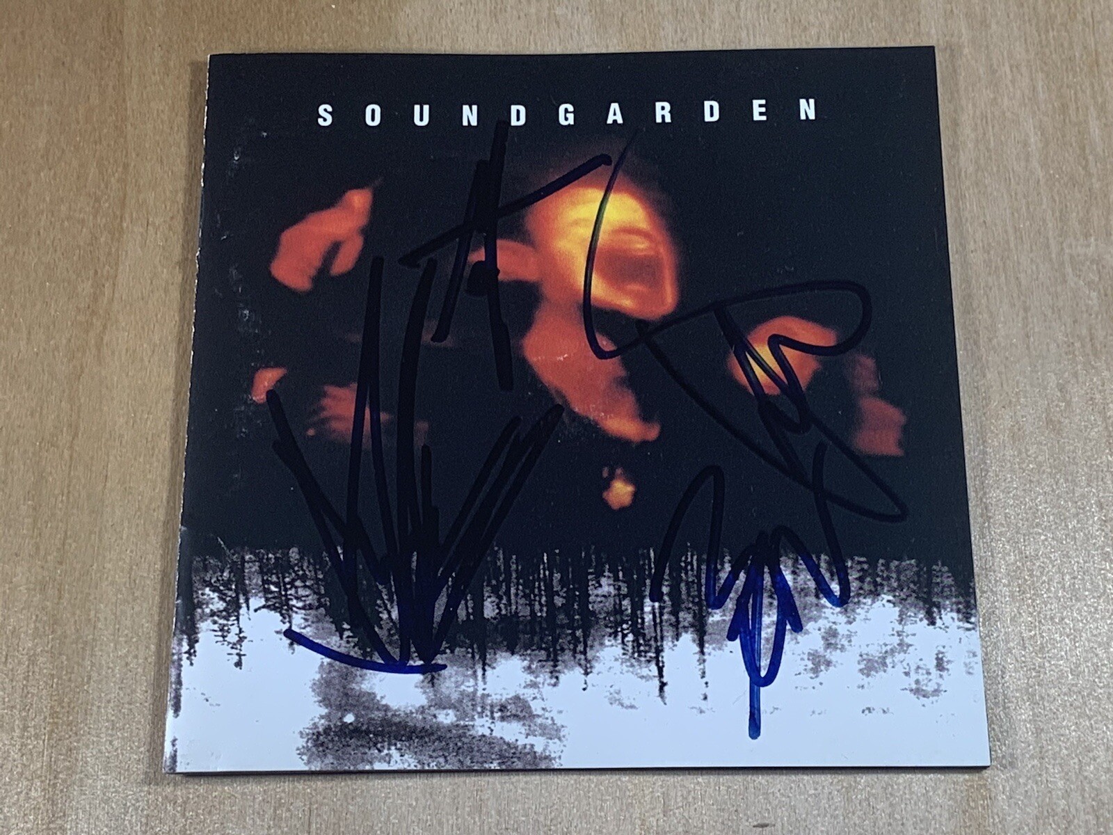 Soundgarden Album Covers