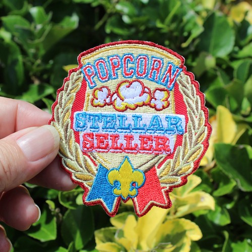 Popcorn Stellar Seller Officially Licensed BSA Boy Scouts Activity ...