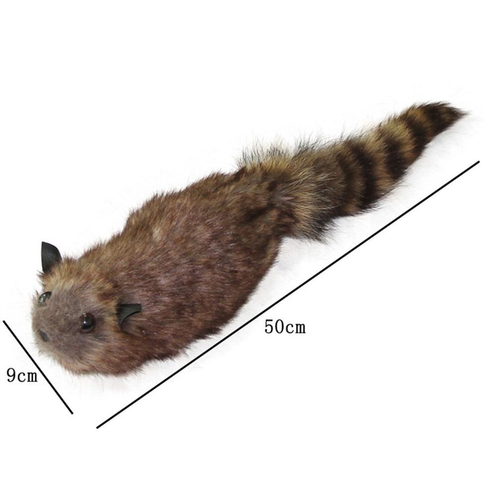 Spring Powered Rocky Raccoon Magic Raccoon Magic Tricks Stage Street | eBay