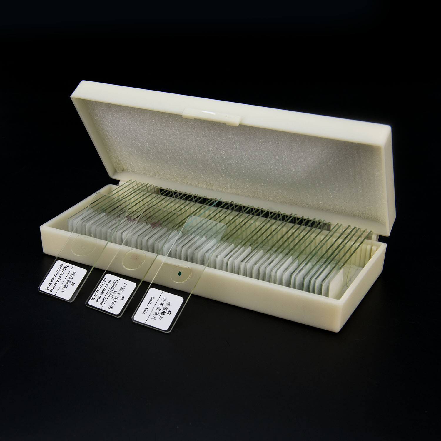 10pcs-200pcs Glass Prepared Microscope Slides Specimen for Lab ...