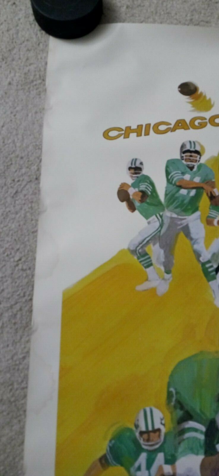 Very Rare 1975 Chicago Winds WFL Poster 36x24 size | eBay