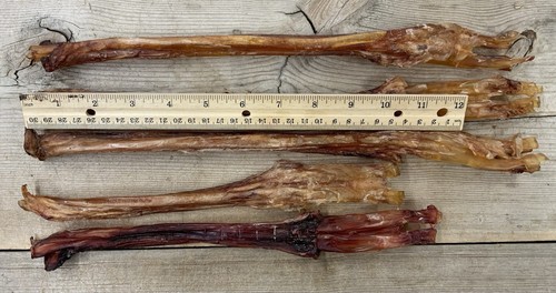 5 Authentic Elk Leg Tendons Sinew | eBay