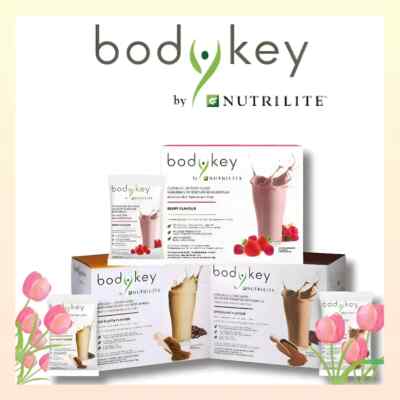 Amway BodyKey By Nutrilite Meal Replacement Shake Weight Protein FREE ...