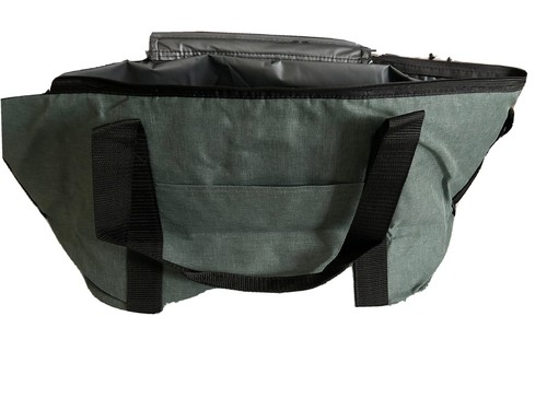 NWT! DSW Exclusive Cooler Insulated Zip Top Summer Bag, Sage Green | eBay