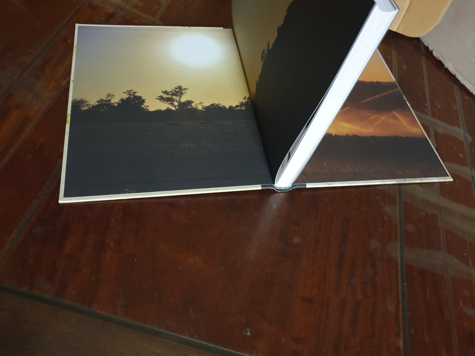 Planet to Plate the Earth Hour Cookbook ~ HARDCOVER ~ Nice Copy ~ FAST ...