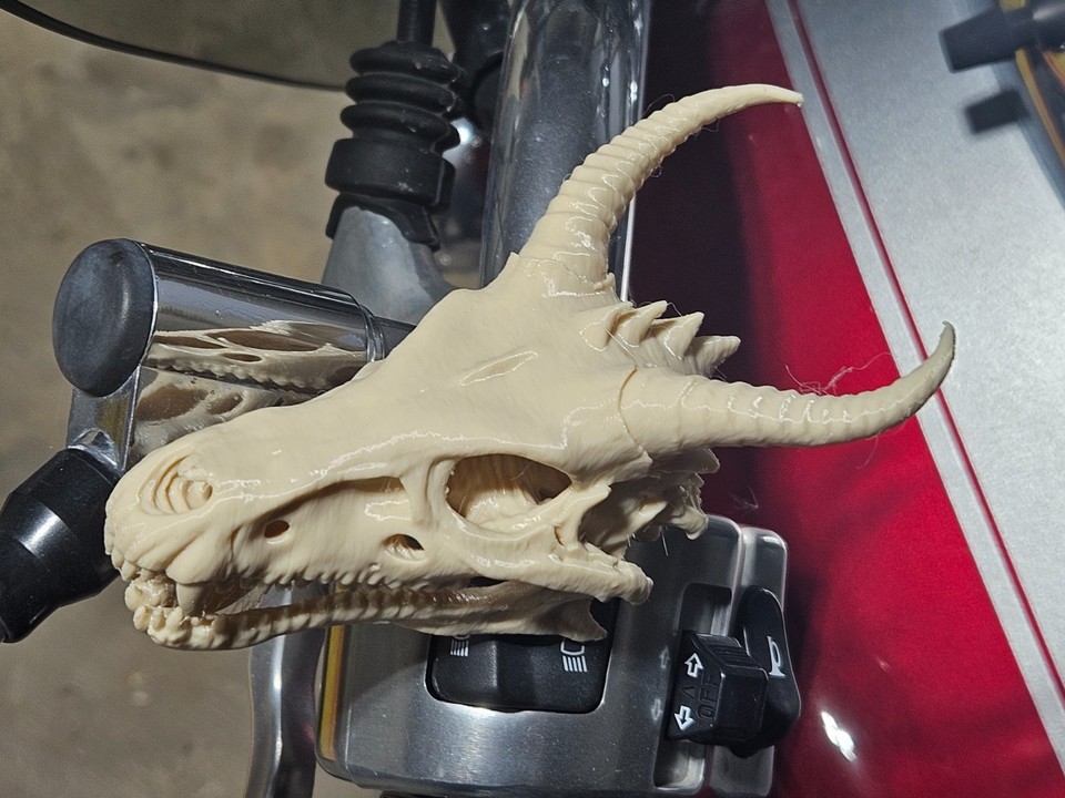 small Dragon head skull bone color mystical animal fantasy gift sharp ...