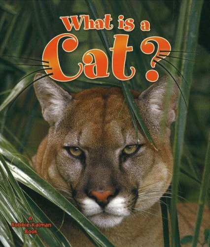 What Is a Cat? (Science of Living Things (Paperback)) by Bishop, Amanda ...