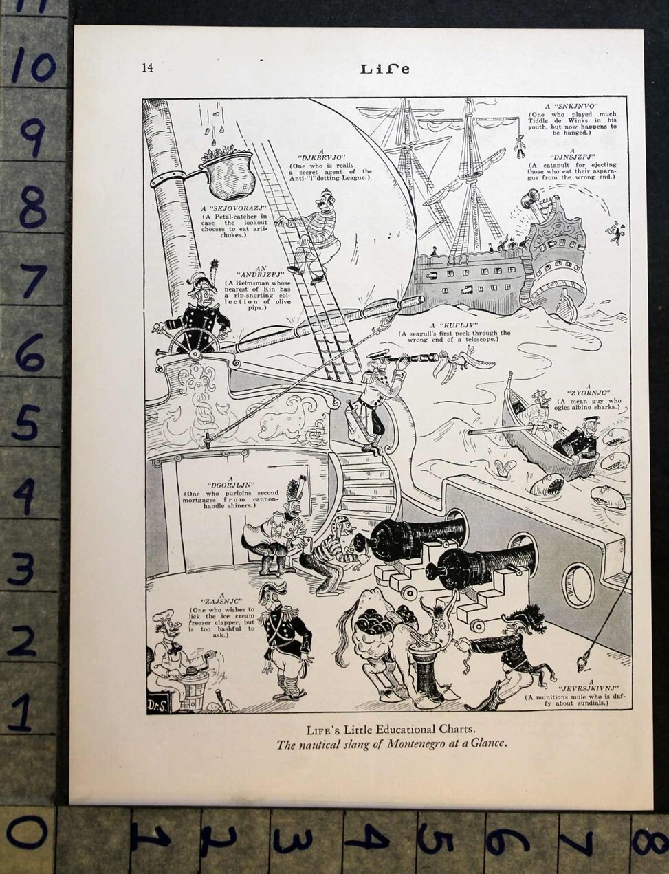 1929 DR THEODOR SEUSS GEISEL MONTENEGRO NAUTICAL CARTOON ART PRINT ...