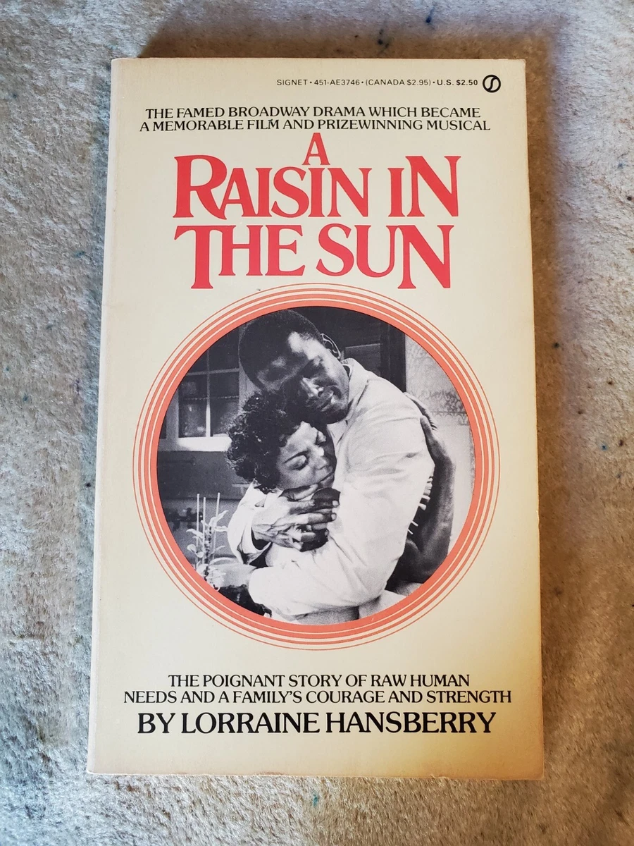 A Raisin In The Sun Book