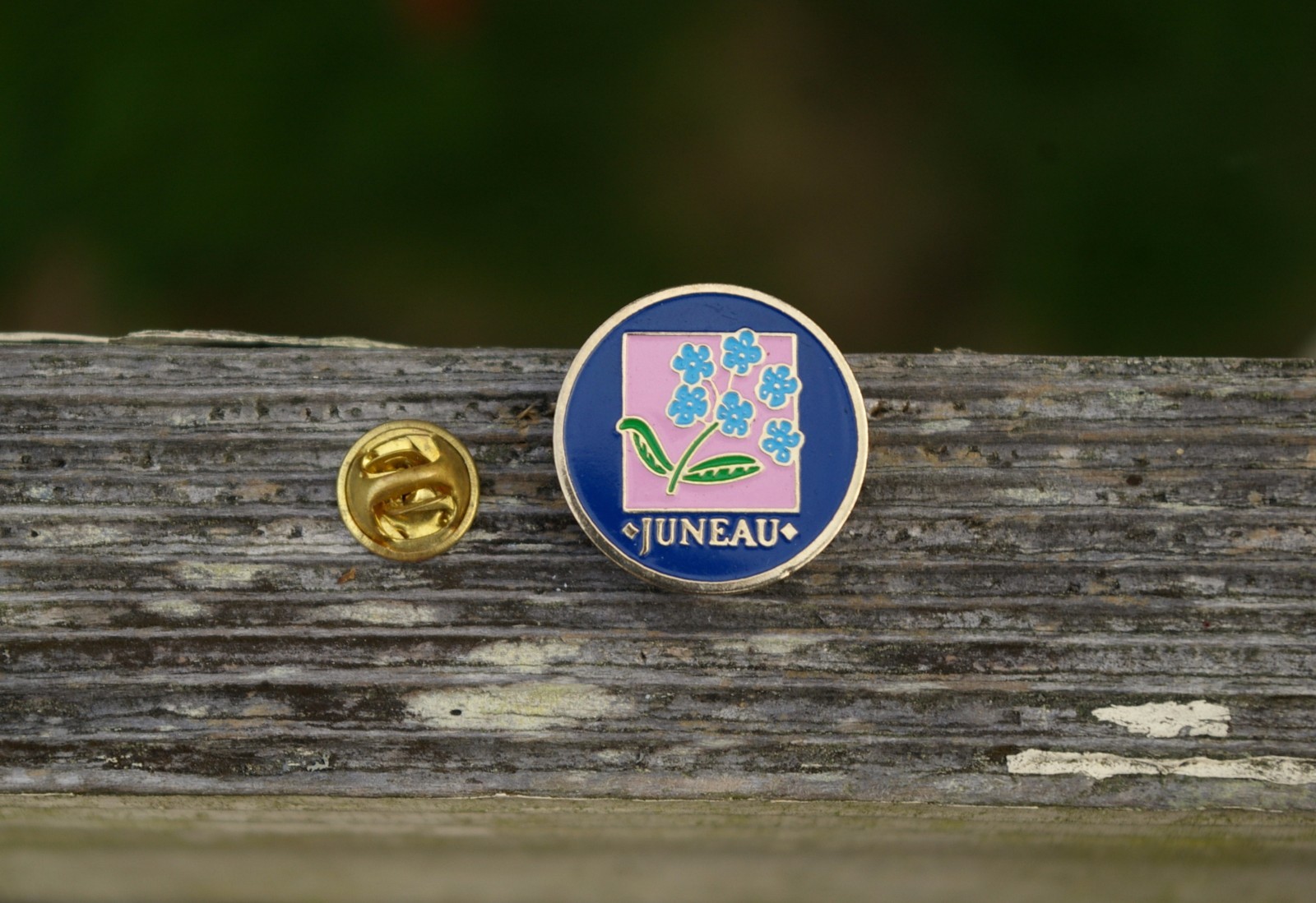 Juneau Alaska Alpine Forget-Me-Not State Flower Metal & Enamel Lapel ...