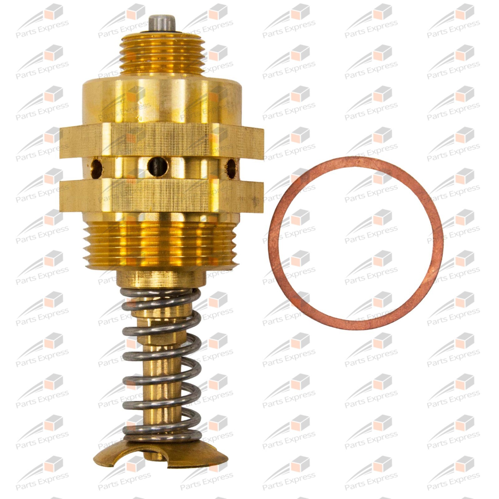 STEAM VALVE ASSEMBLY for CISSELL SUZIE FORM-FINISHER # FV110 | eBay