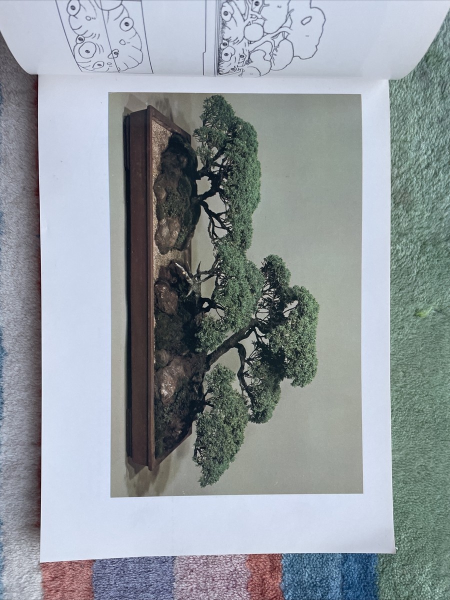 Saikei Living Landscapes In Miniature Saikei And Art : Miniature