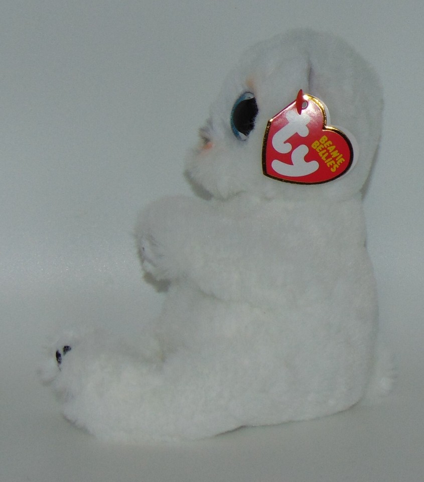 New! Ty Beanie Bellies WUZZY the Polar Bear 6" size NWT's | eBay