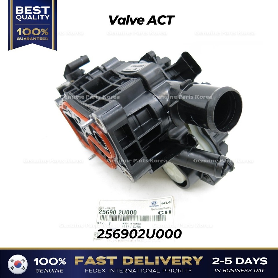 ⭐Genuine⭐ Valve ACT 256902U000 for Hyundai Tuscon Kona Kia Sportage ...