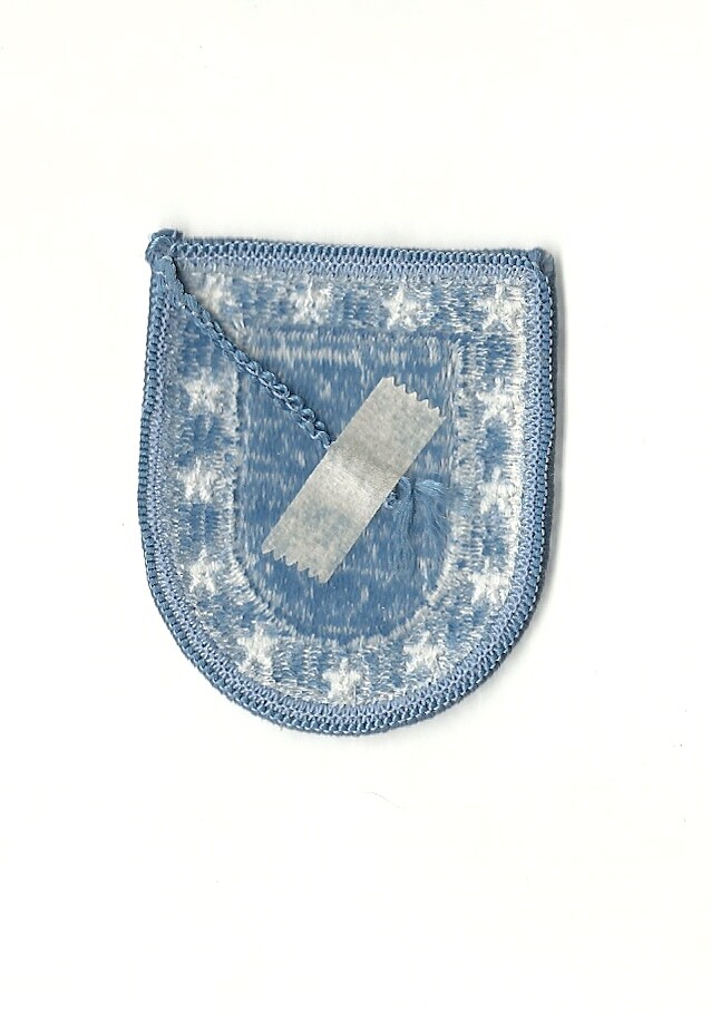 ARMY FLASH - PRESENT DAY | eBay