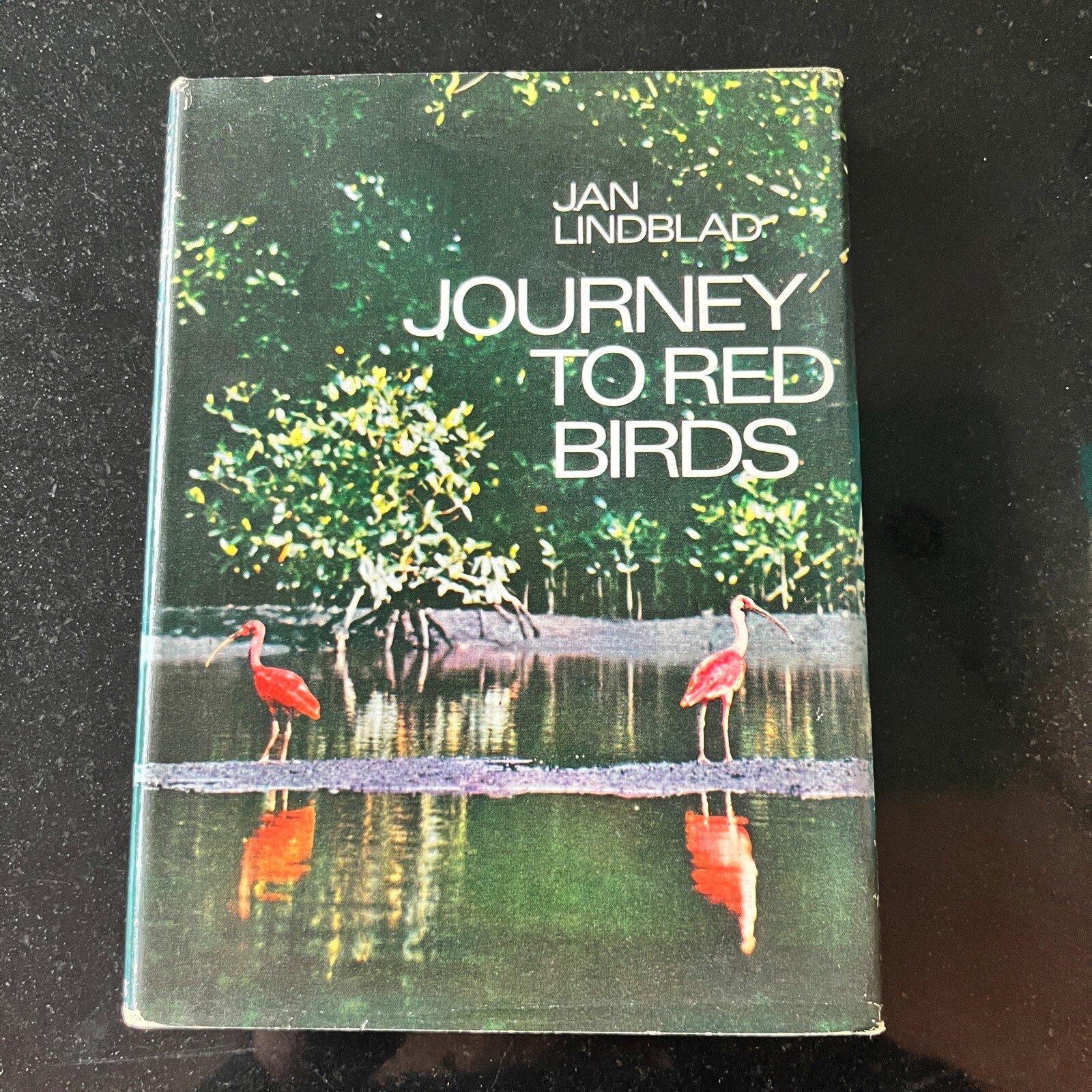 Journey to Red Birds - Jan Lindblad - UK 1st 1969 - DW - Trinidad ...