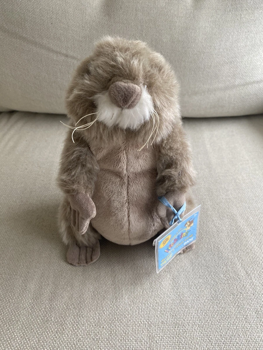 Webkinz Codes That Have Not Been Used